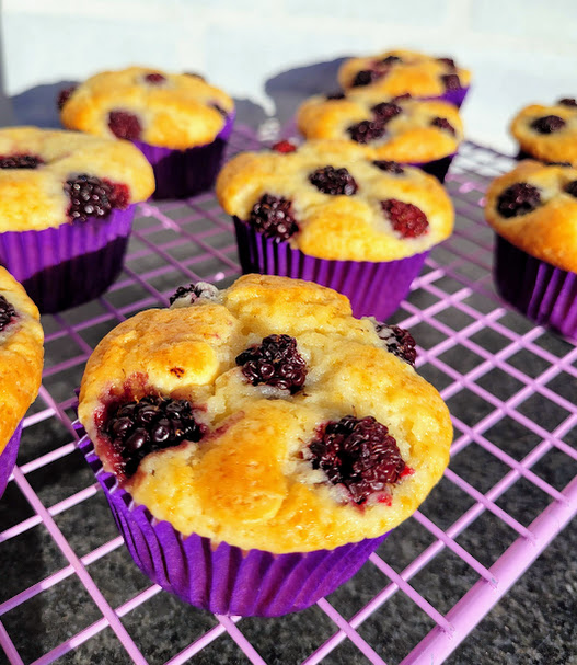 Brombærmuffins med hvid chokolade – Bagehuset.dk